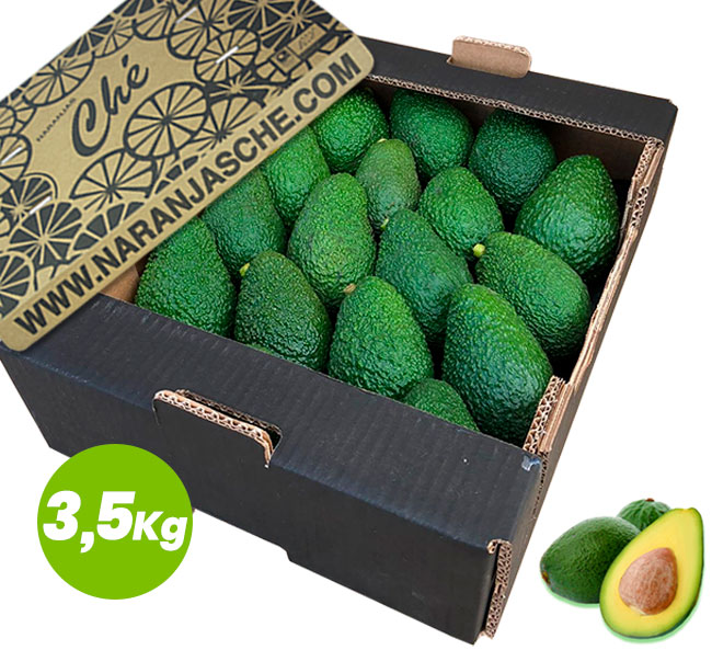 Avocado bio - 3,5Kg. - orangespain.bio