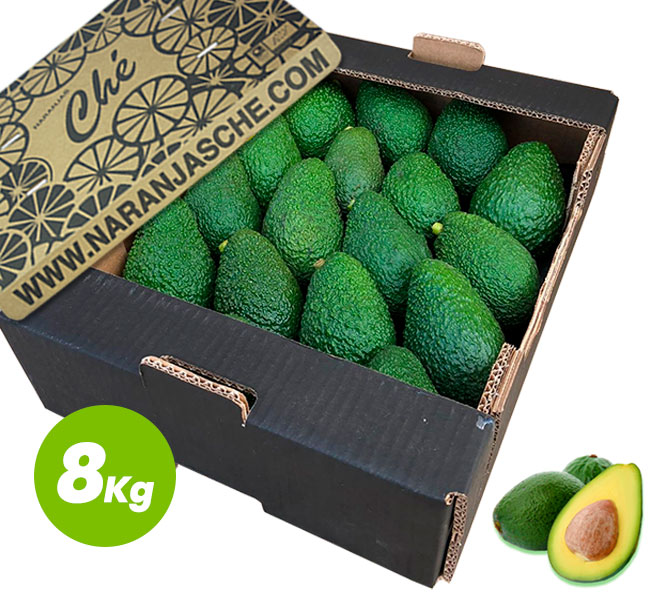 Avocado bio - 8Kg. - orangespain.bio